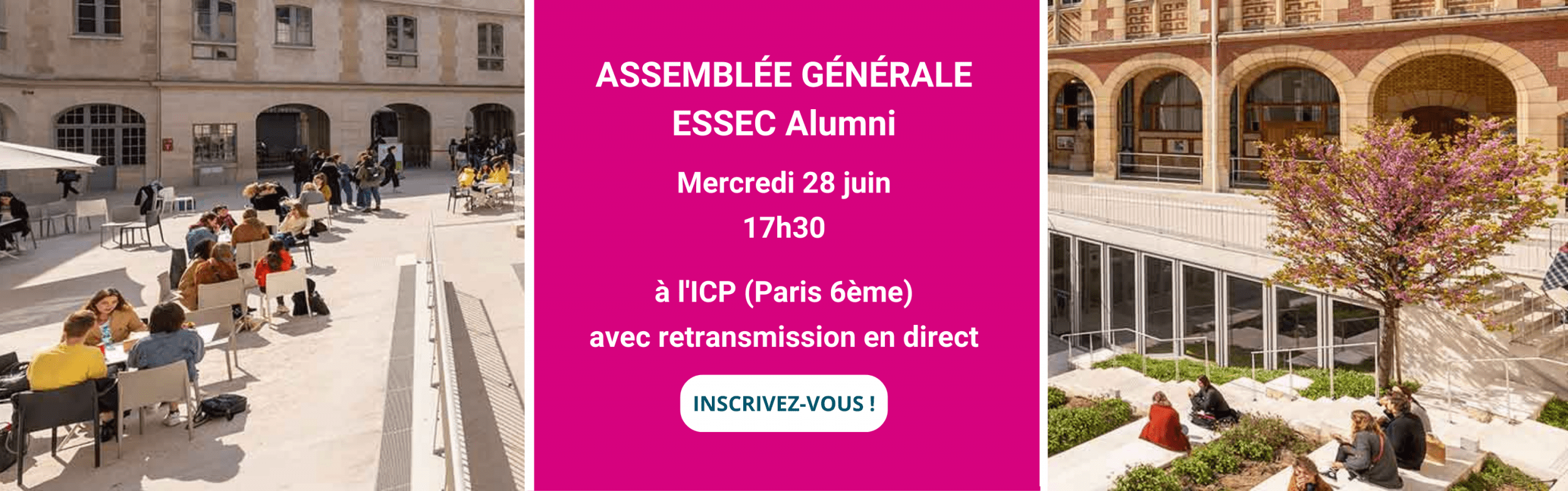 ESSEC ALUMNI